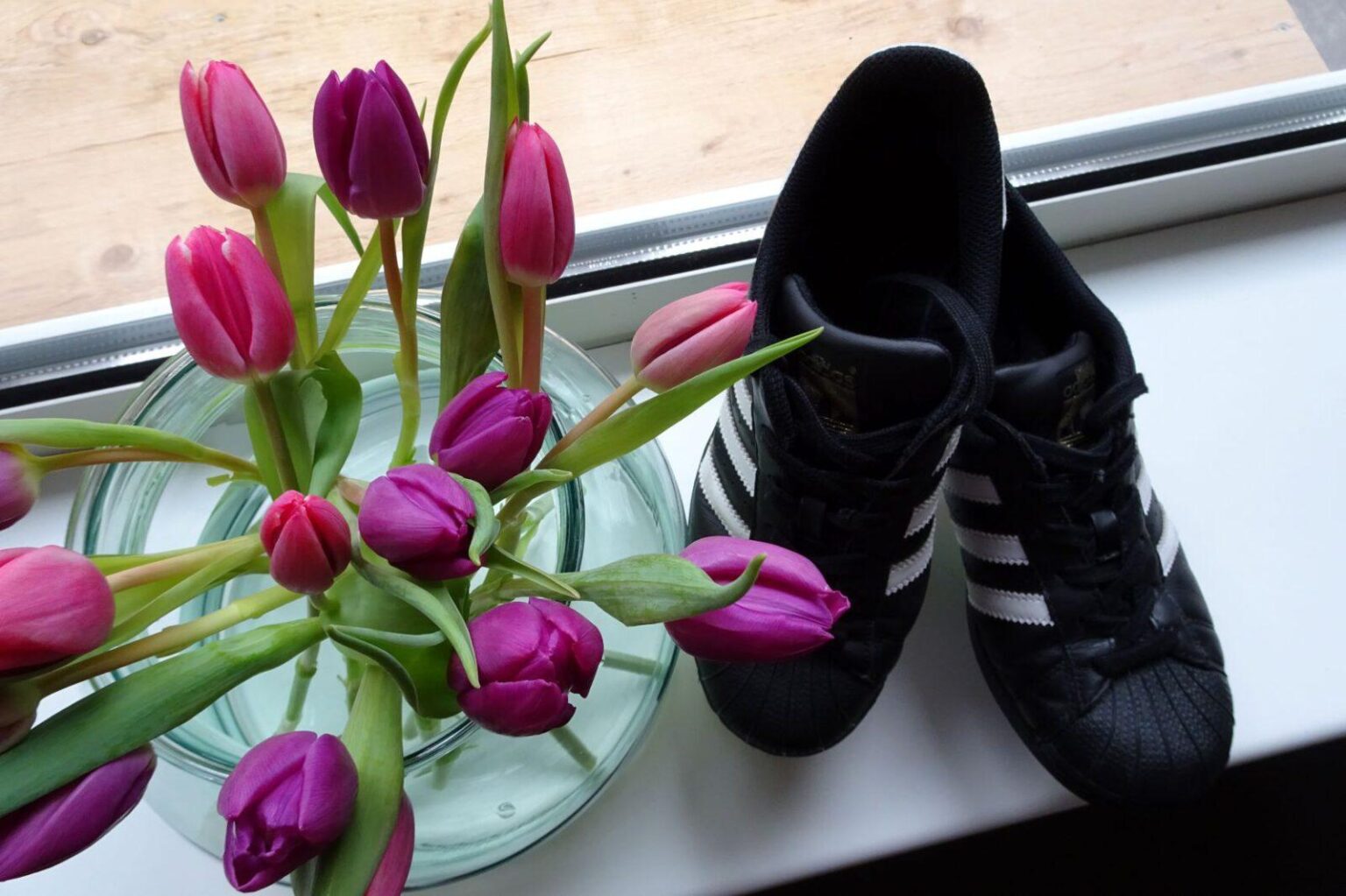 Plantenliefde: Van Een Dode Cactus Naar Een Huis Vol Planten!