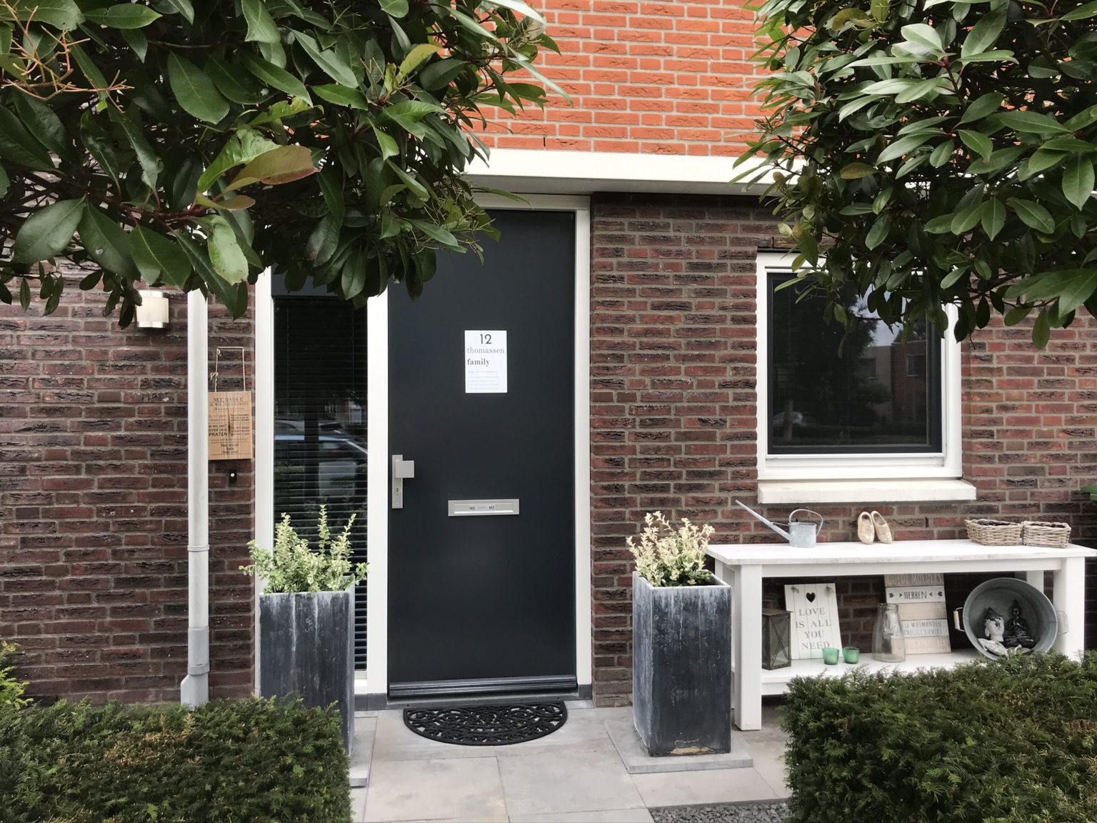 Plantenliefde: Van Een Dode Cactus Naar Een Huis Vol Planten!